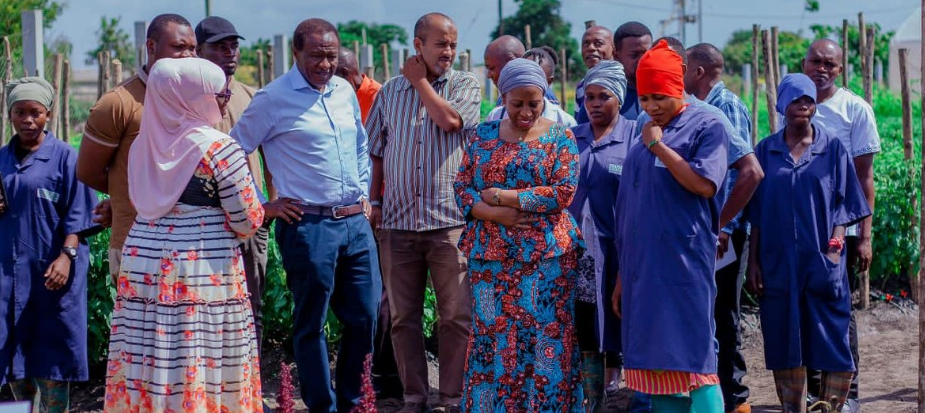 ESRF – Economic and Social Research Foundation, ESRF, ESRF TANZANIA ...